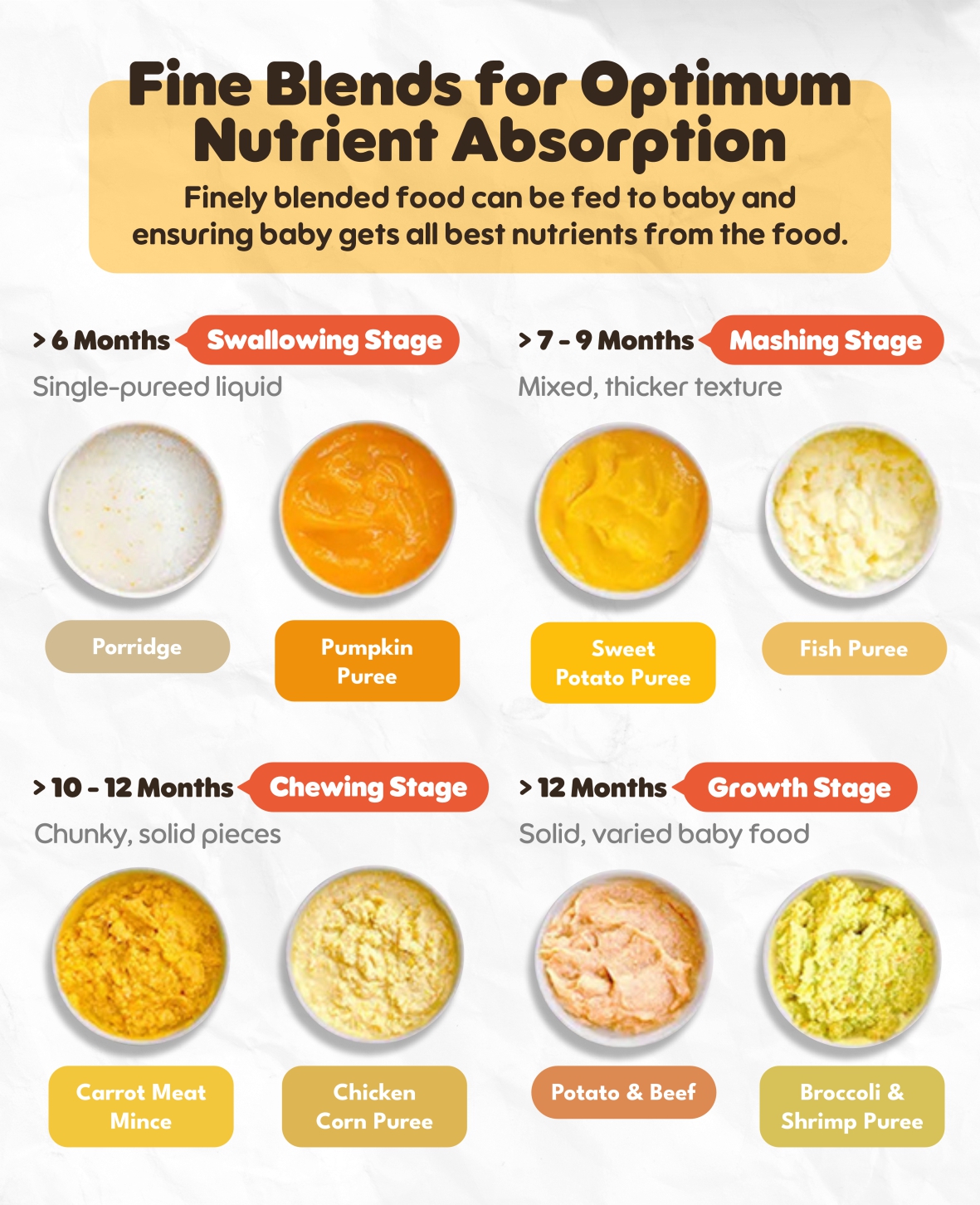 【6 MONTHS WARRANTY】Baby Food Blender Mini Baby Food Processor Chopper ...