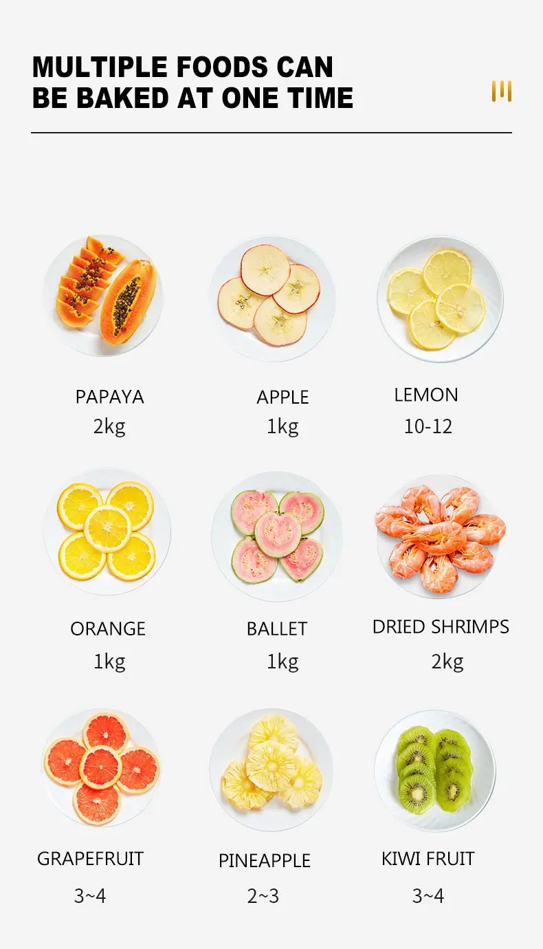 [RM267] 6 Layers Tray Dried Food Dehydrator Dehydration Air Dryer ...