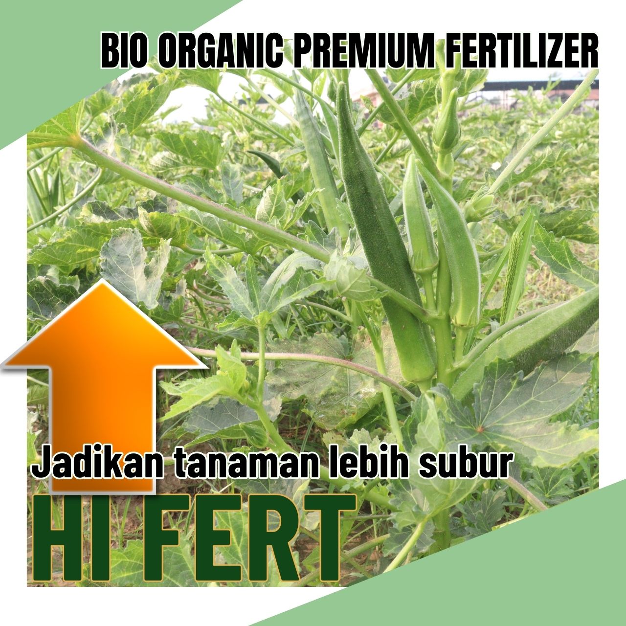 Agro Bio Organic HI-FERT Premium Fertilizer Baja Organic Baja Super ...