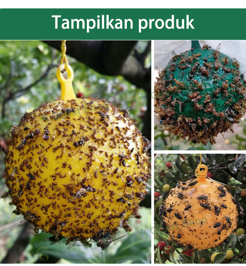 Sticky Trap Ball Fruit Fly White Flies flying bees Thrip Stinking Bug ...