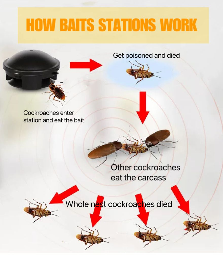 12pcs Japanese Killer Cockroach Medicine trap Racun Lipas 日本蟑螂小黑屋 ...