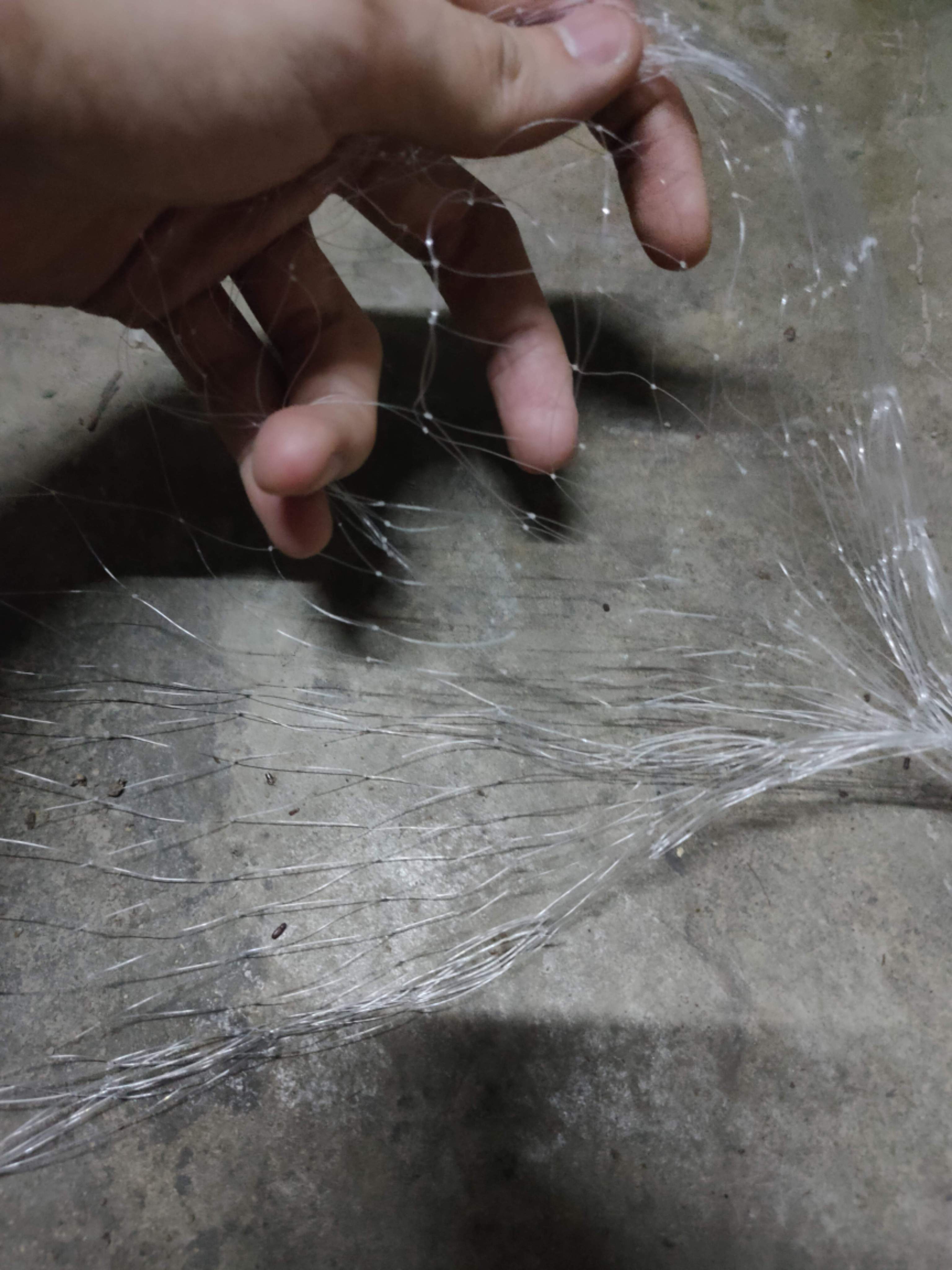 Pukat ikan / daging Pukat / isi pukat / jaring pukat lintang 0.20mm ...