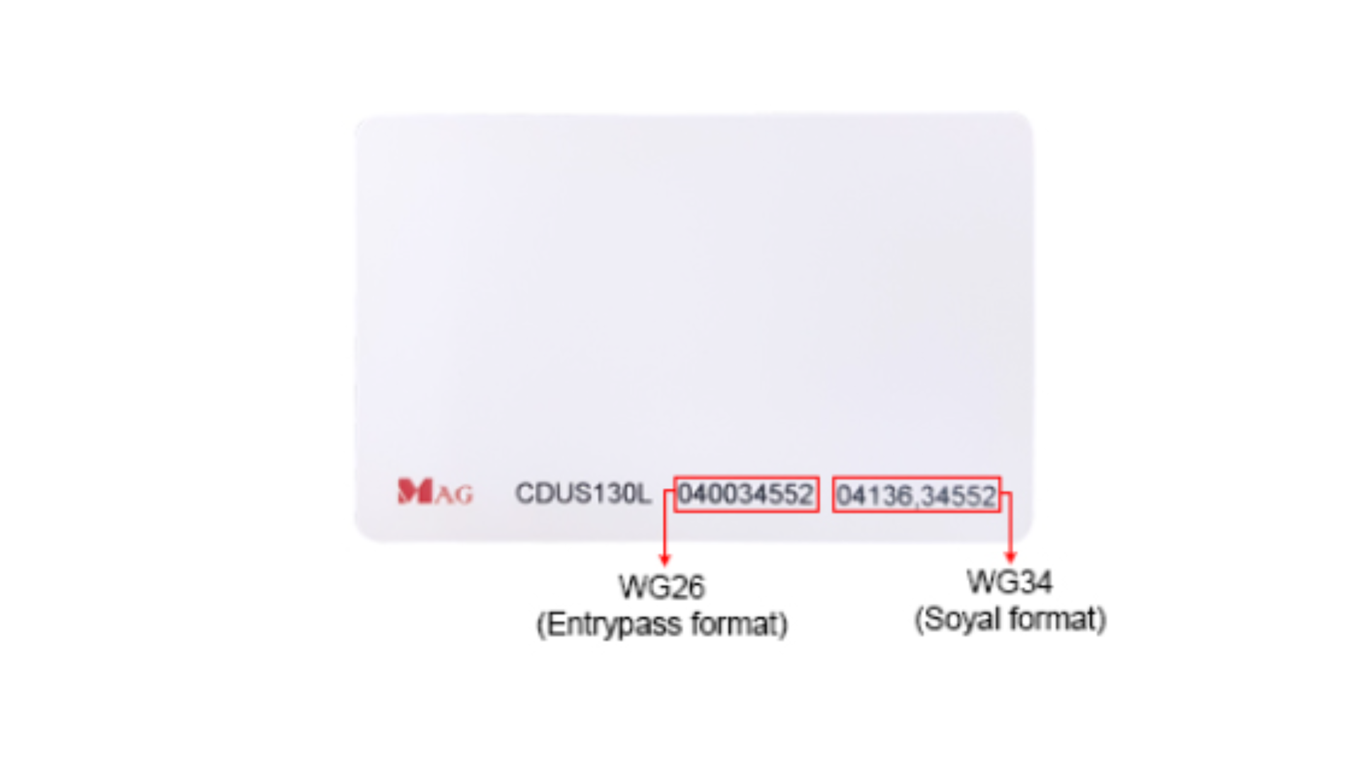 MAG UHF 6C Long Range Card 919MHz Not Writable Different Number Not in ...