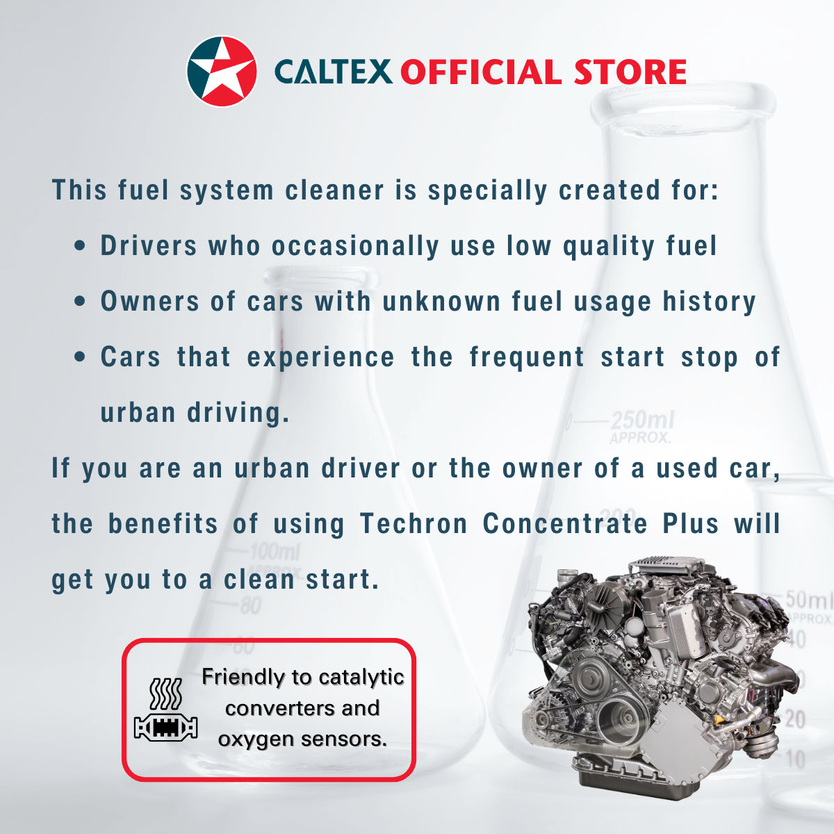 Caltex Techron Concentrate Plus Fuel System Cleaner (355ml x 2 Bottles ...