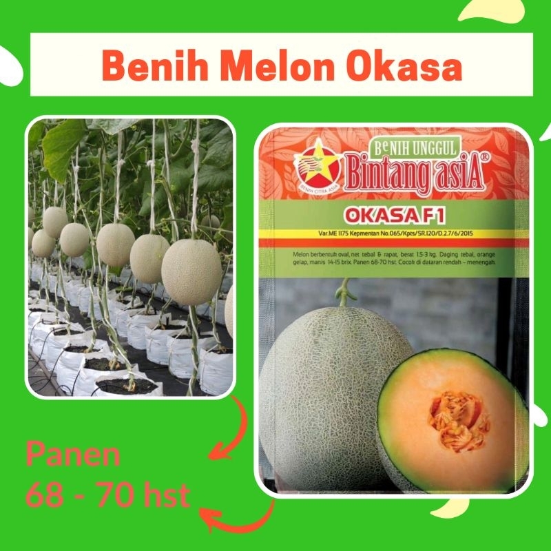 BENIH ROCK MELON OKASA KELUARAN BINTANG ASIA PACK 20 GRAM(850-950+ SEED ...