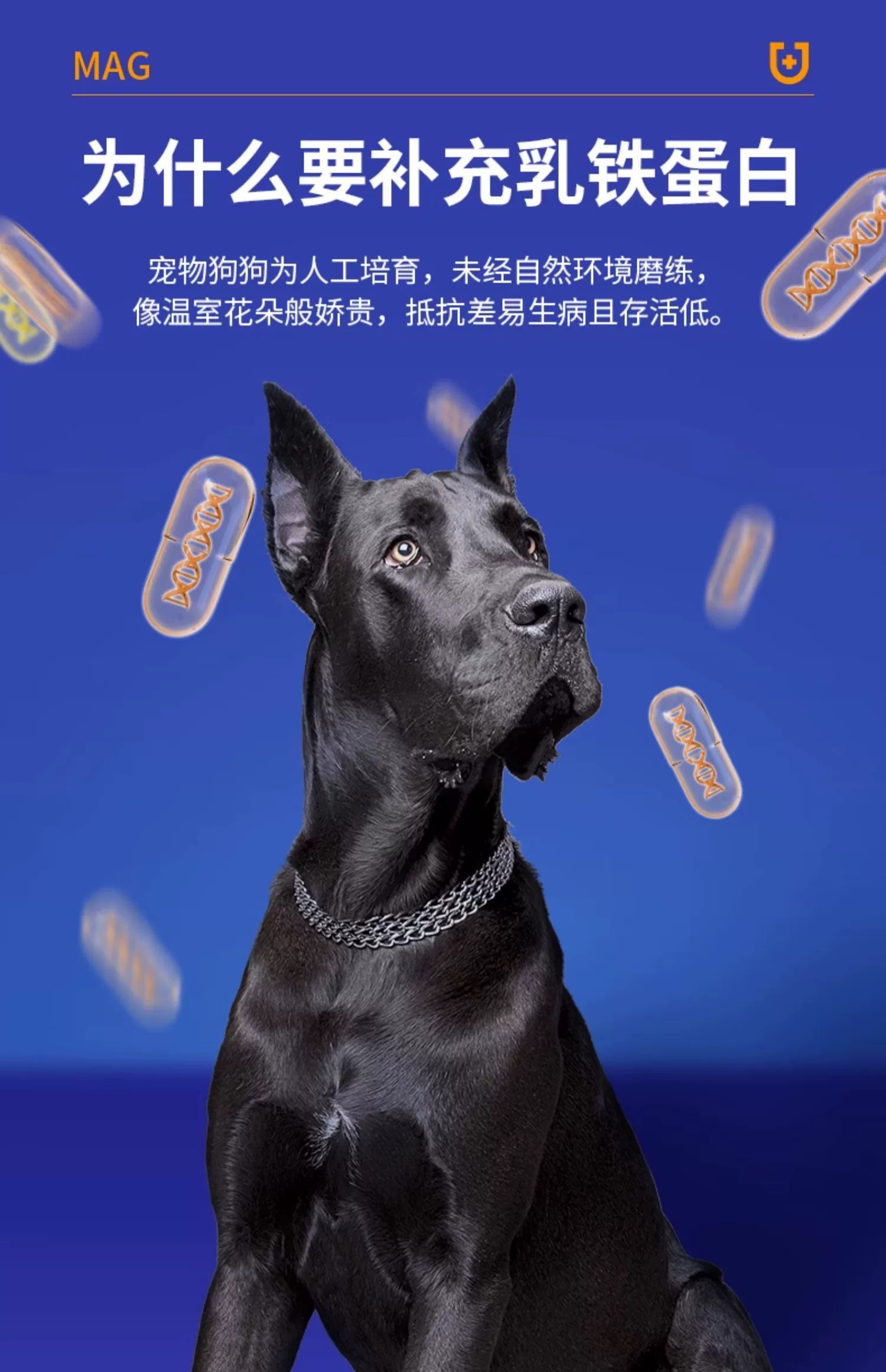 MAG U+ LF-MAG 300 Immune Globulin Lactoferrin Enhance Immunity for Dogs ...