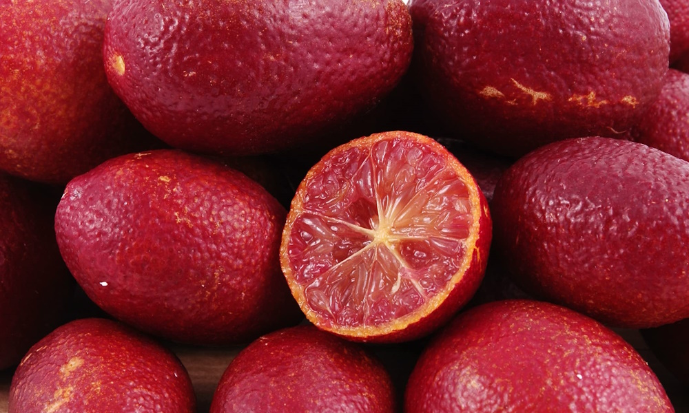 Pokok Australian Blood Lime | Shopee Malaysia