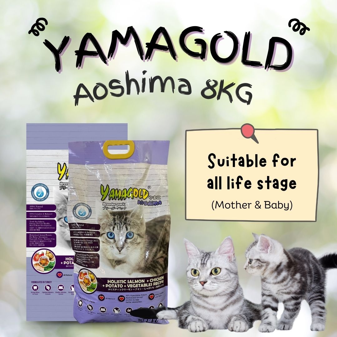 DVS Approved - YAMAGOLD PREMIUM AOSHIMA CAT FOOD 8KG - Makanan Kucing ...