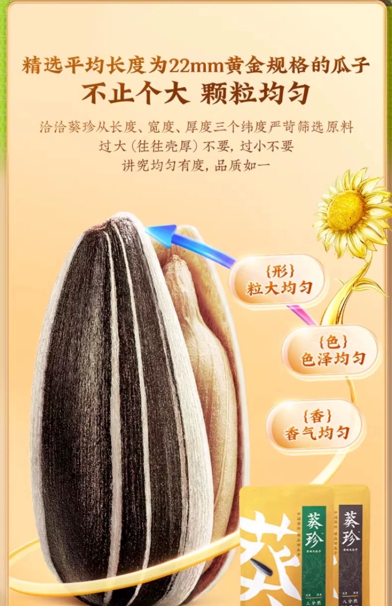 98g ChaCha Jumbo Kuaci Premium Sunflower Seed Roasted with Sea Salt ...