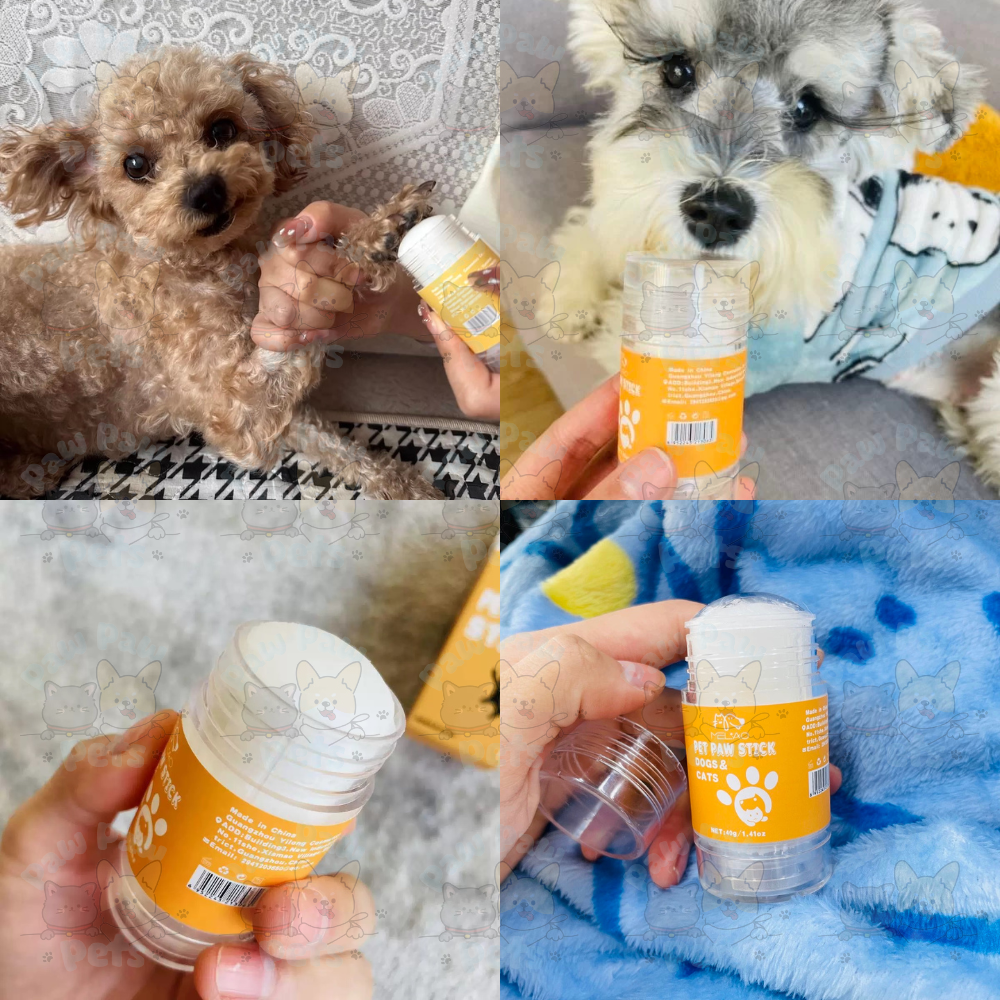 Pet Cat & Dog Paw Care Balm & Pet Paw Care Stick | Balm & Batang ...