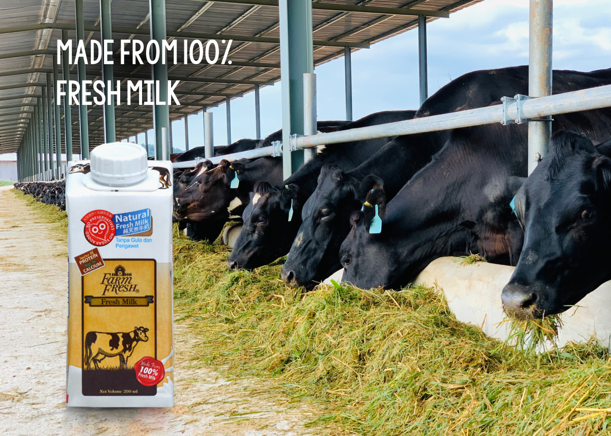 Farm Fresh UHT Fresh Milk 125ml x 32 Packs | Shopee Malaysia