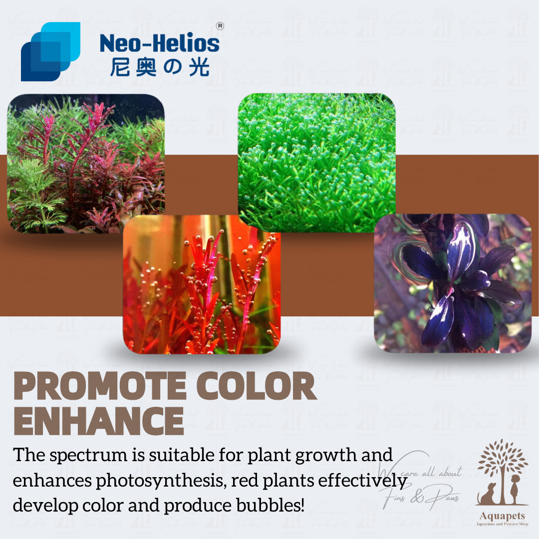 Neo Helios Flat Light XP Full Spectrum WRGB Ultra Slim LED Light ...