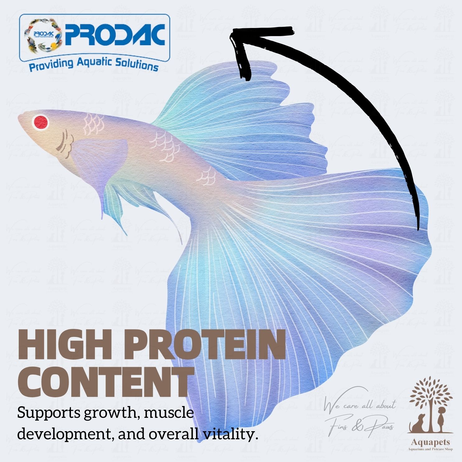 PRODAC Tropical Fish Flakes 250mL (50g) Tropical Fish Food Makana Ikan ...