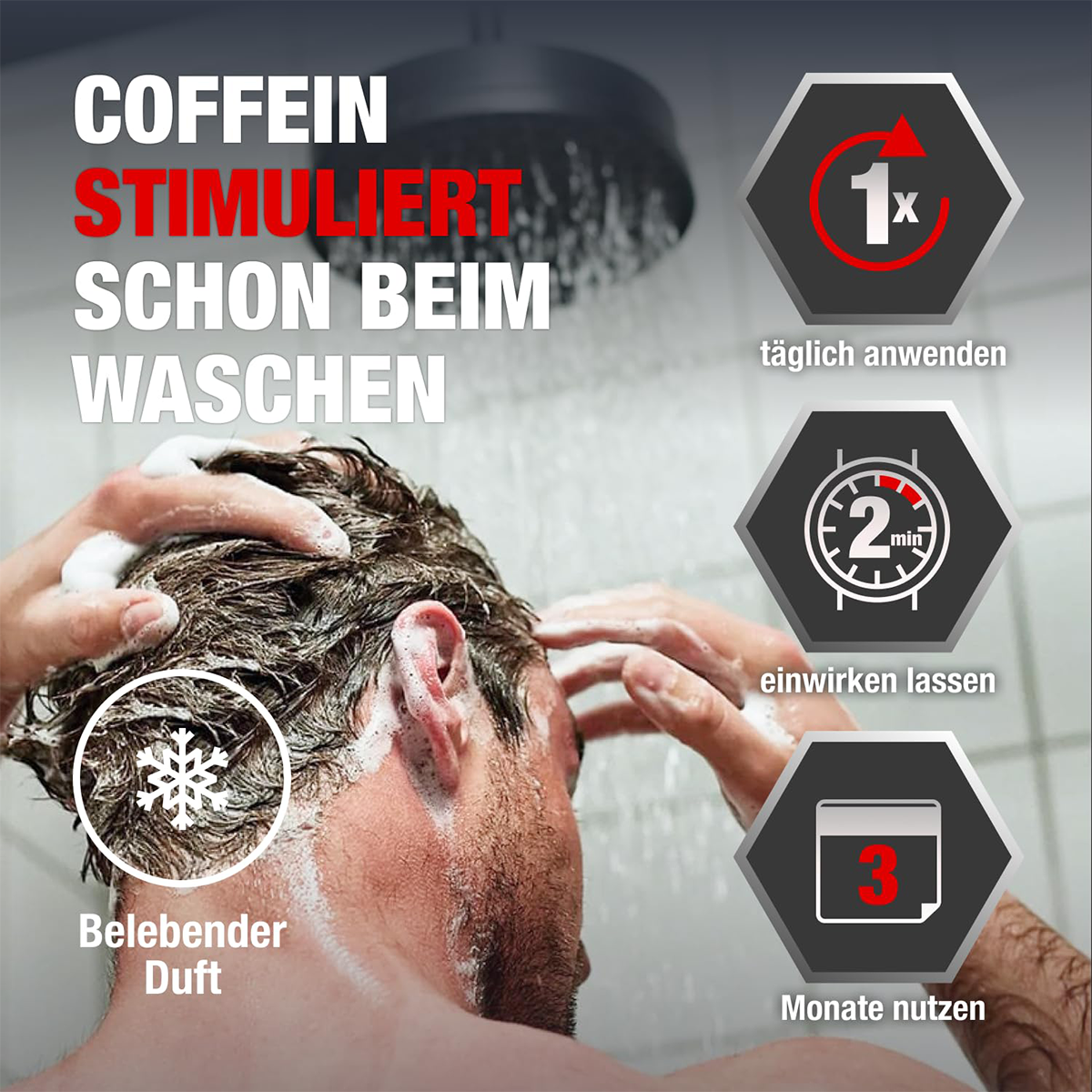 Alpecin Caffein Shampoo 250ml, Alpecin Coffein Shampoo, Alpecin C1 ...