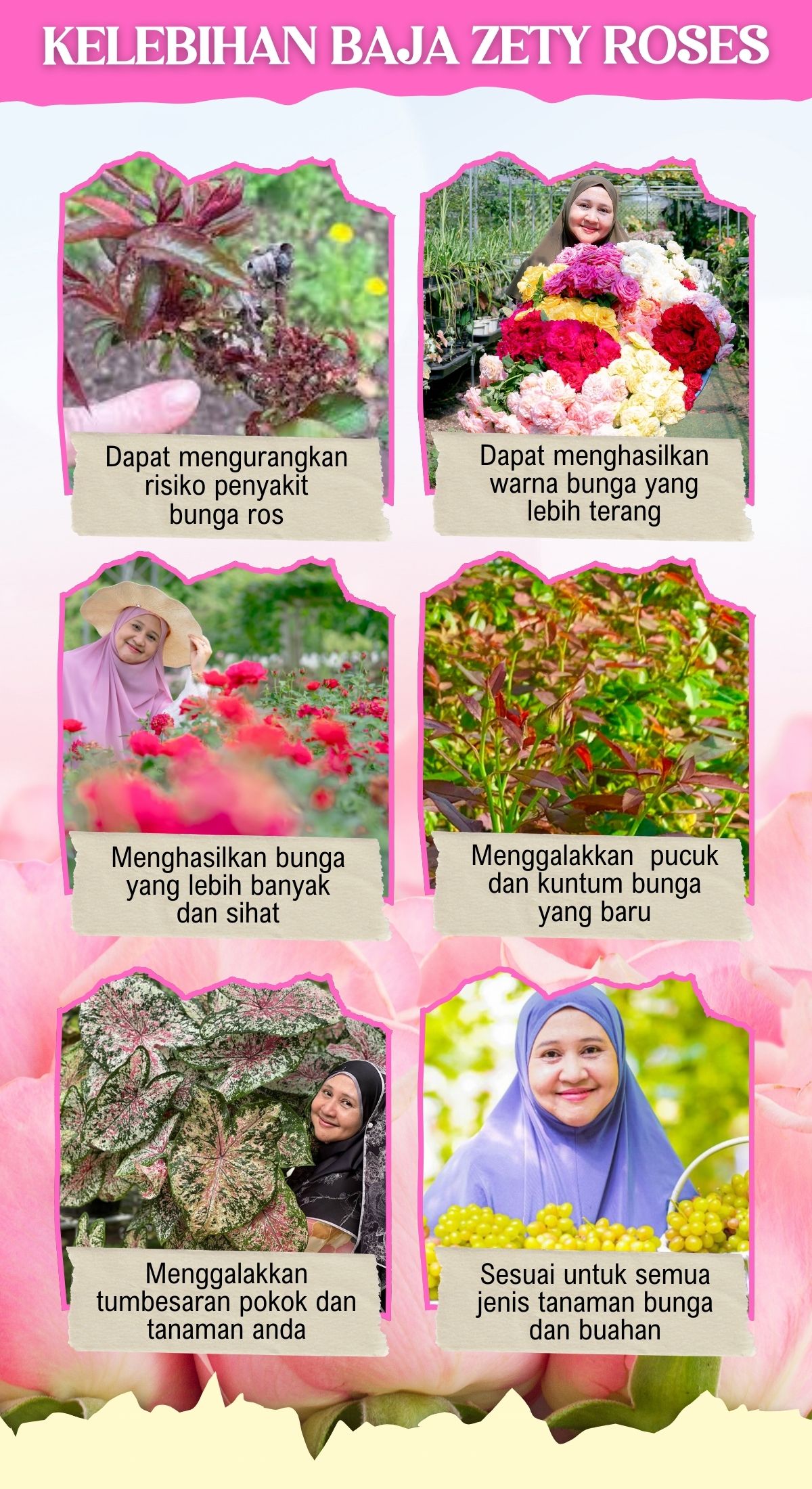 𝗖𝗼𝗺𝗯𝗼 𝗣𝗮𝗰𝗸 3 Pek Zety Roses Baja Organik Serba Jadi untuk Kesuburan ...