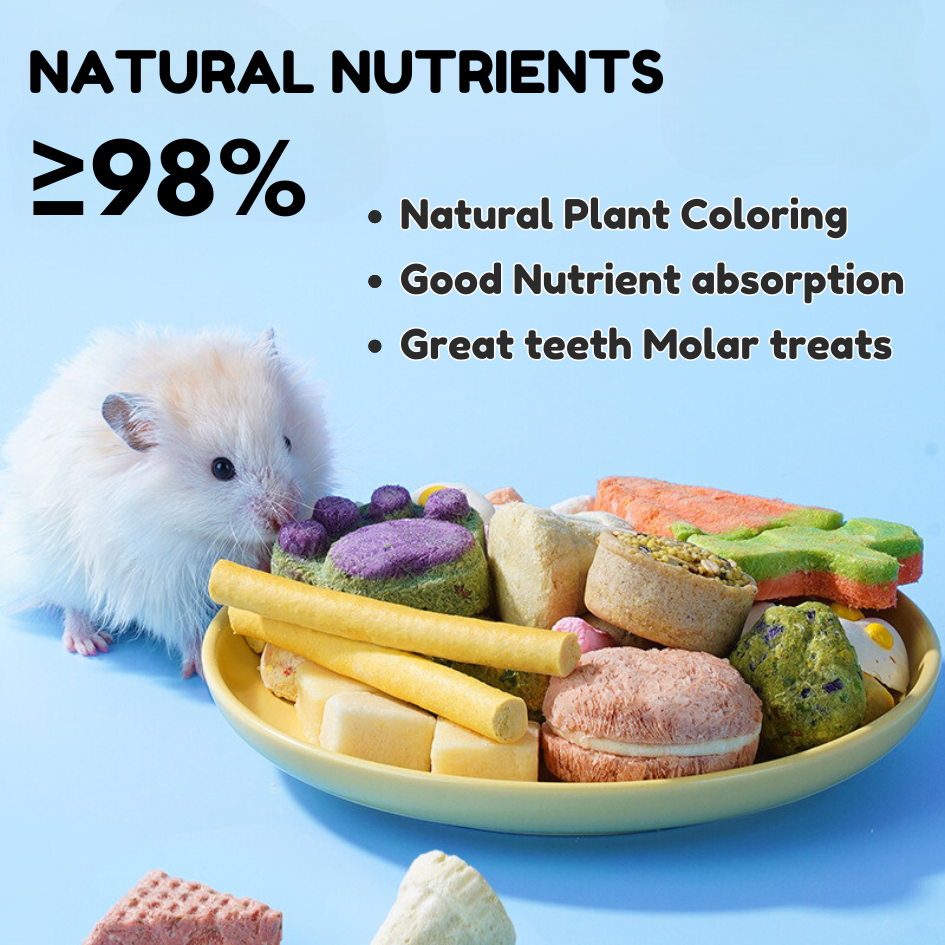 Yee Healthy Hamster Snack Macaron Hamster food Goat milk cube protein ...