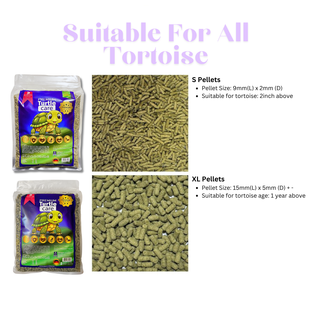 Edens Premium Turtle Pellets /Turtle Food Tortoise Food/Makanan Kura ...