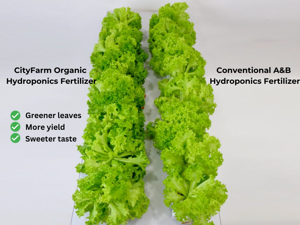 Organic Hydroponics Fertilizer For Leafy Greens 1L Contains Seaweed ...