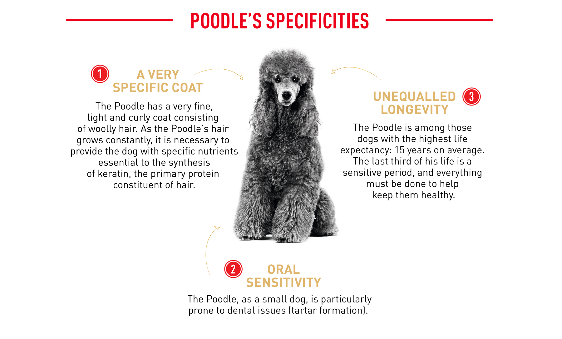 Royal Canin Poodle Adult 3KG Dry Dog Food | 皇家成年贵宾犬干狗粮 | Shopee Malaysia