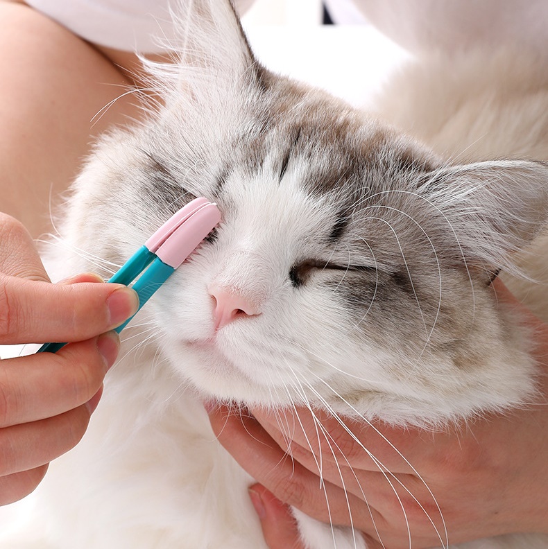 Cat Tear Stain Remover Soft Rubber Brush Cleaning Cat Eye Grooming Kit ...