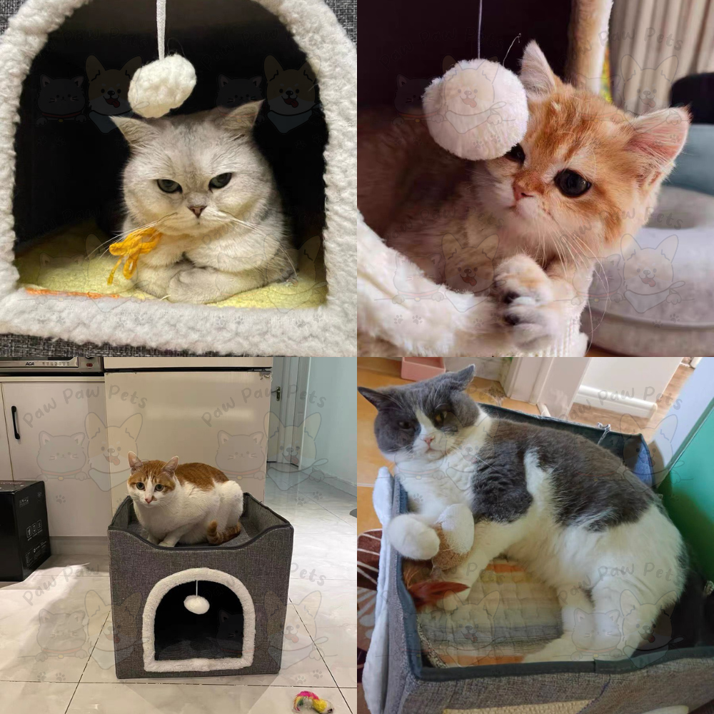 Cozy Cat House Bed Cubicle Design with Cat Teaser Toy | Tempat Tidur ...
