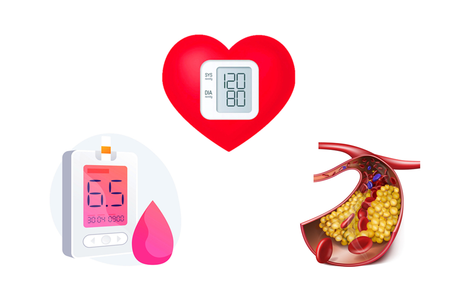 Gynura Procumbens Tea Sambung Nyawa：Three Highs 尖尾凤茶 蛇接骨：三高 | Shopee ...