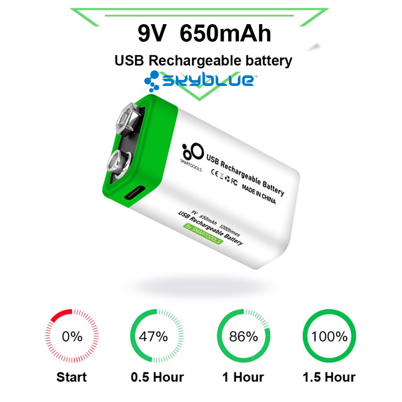 Skyblue Rechargeable Battery AAA AA Type C Plug Charger With Bateri Cas ...
