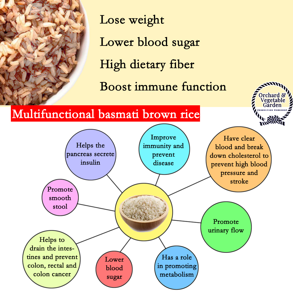 Lohas Organic brown Basmati rice 有机印度糙米 900G 糙米 | Shopee Malaysia