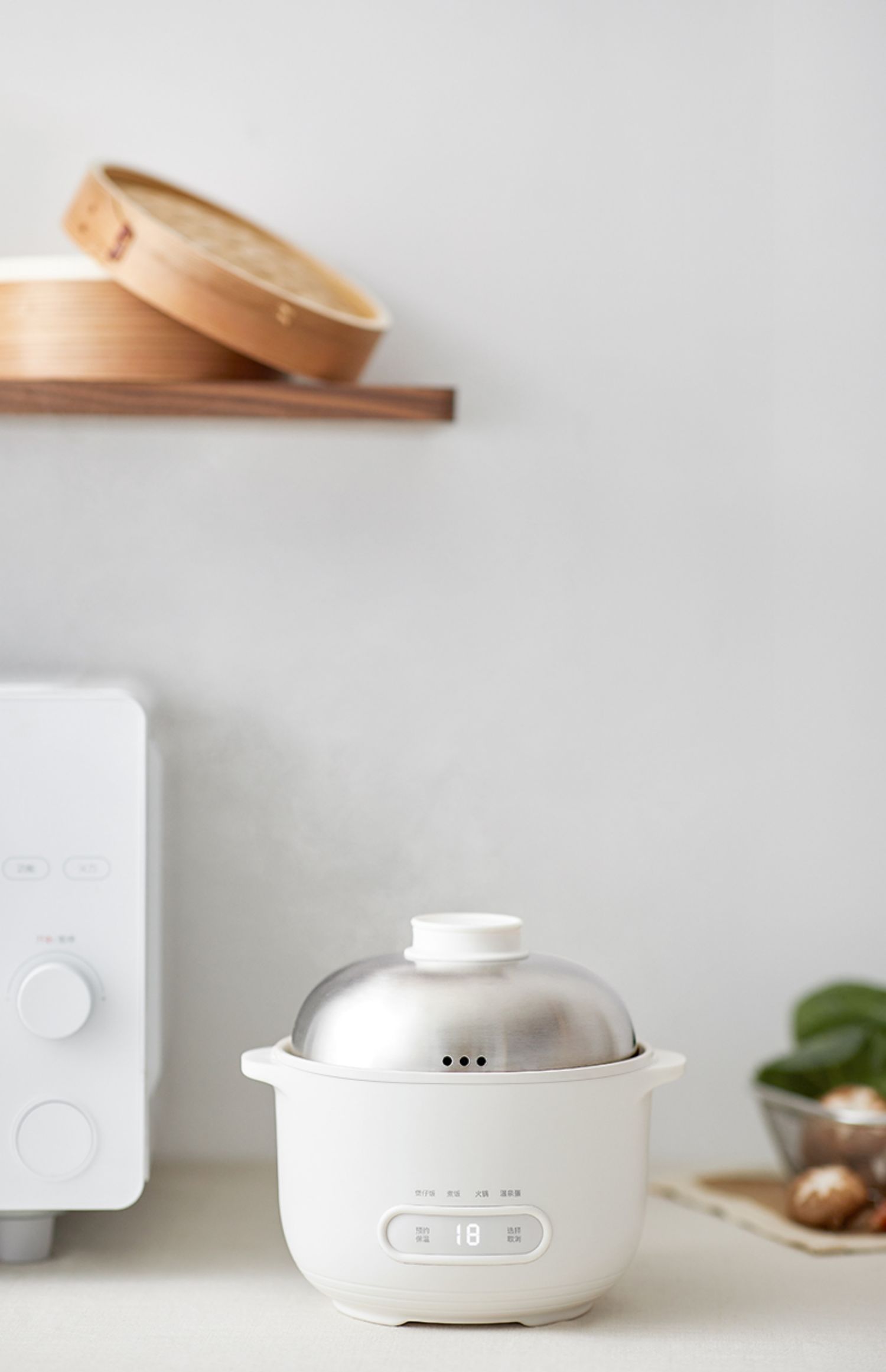 Olayks 1L Mini Rice Cooker Electric Rice Cooker Egg Boiler Multi Cooker ...