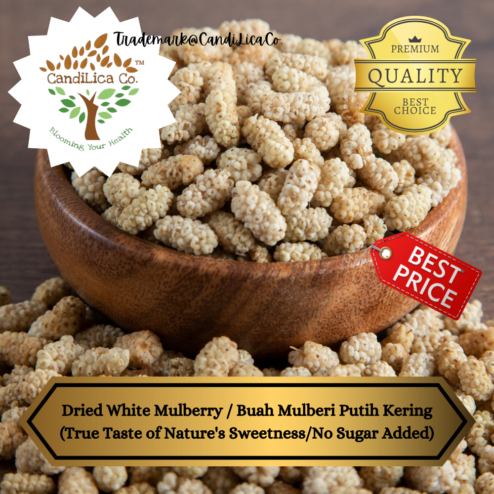CandiLica Co. Premium Imported Dried White Mulberry / Buah Mulberi ...