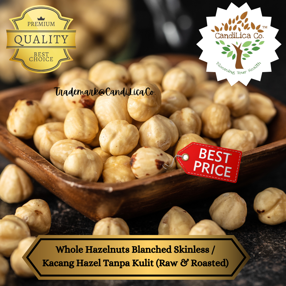 CandiLica Co. Premium Imported Whole Hazelnuts Blanched Skinless ...