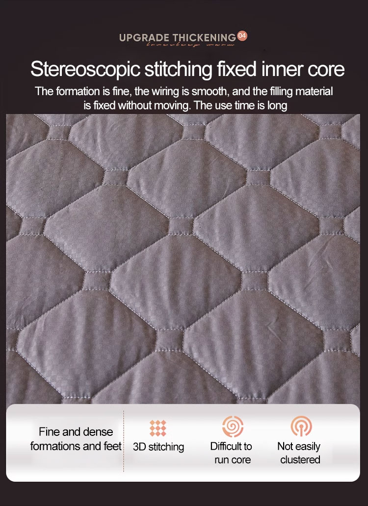 Queen King Size Protection Sponge Tatami Mattress Protector Thick ...