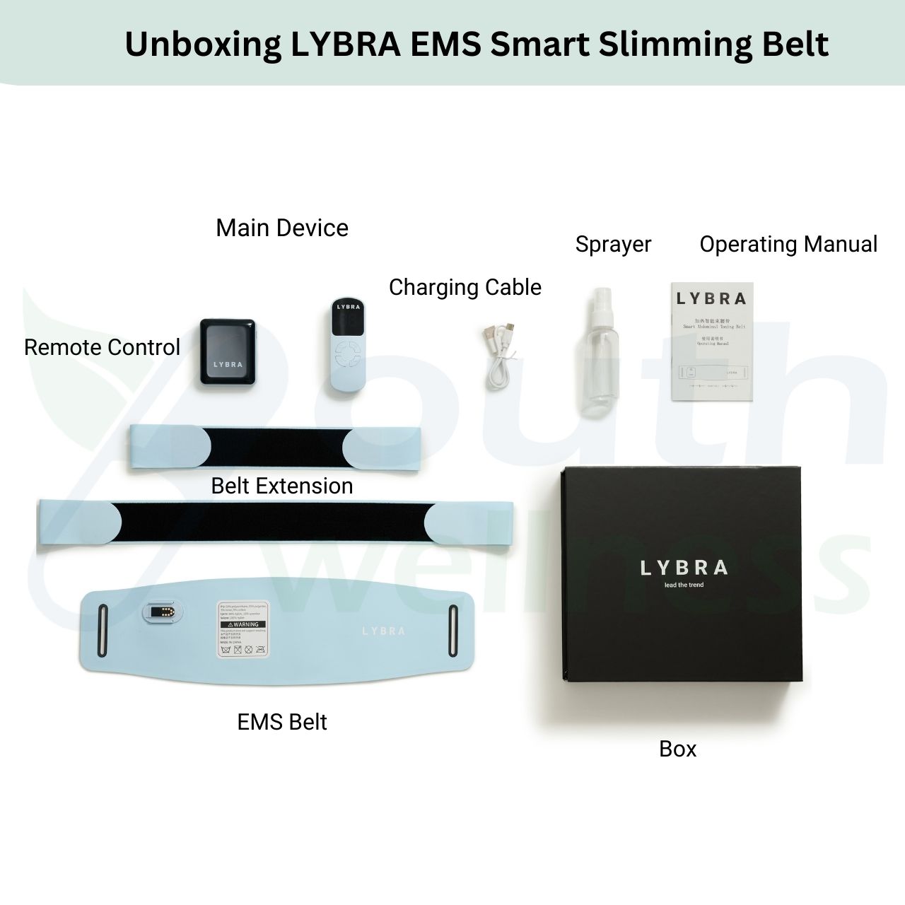 Ready Stock Daily Shipping: LYBRA EMS Smart Slimming Abdomen Belt | Warm Massage Reduce Fat ...