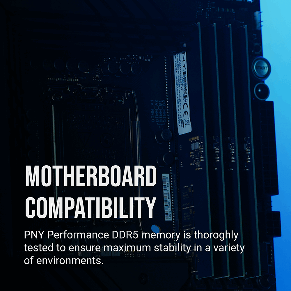 PNY DDR5 16GB 8GB 5600MHZ PNY D5 16GB 8GB 5600MHZ 4800MHZ PC Desktop ...