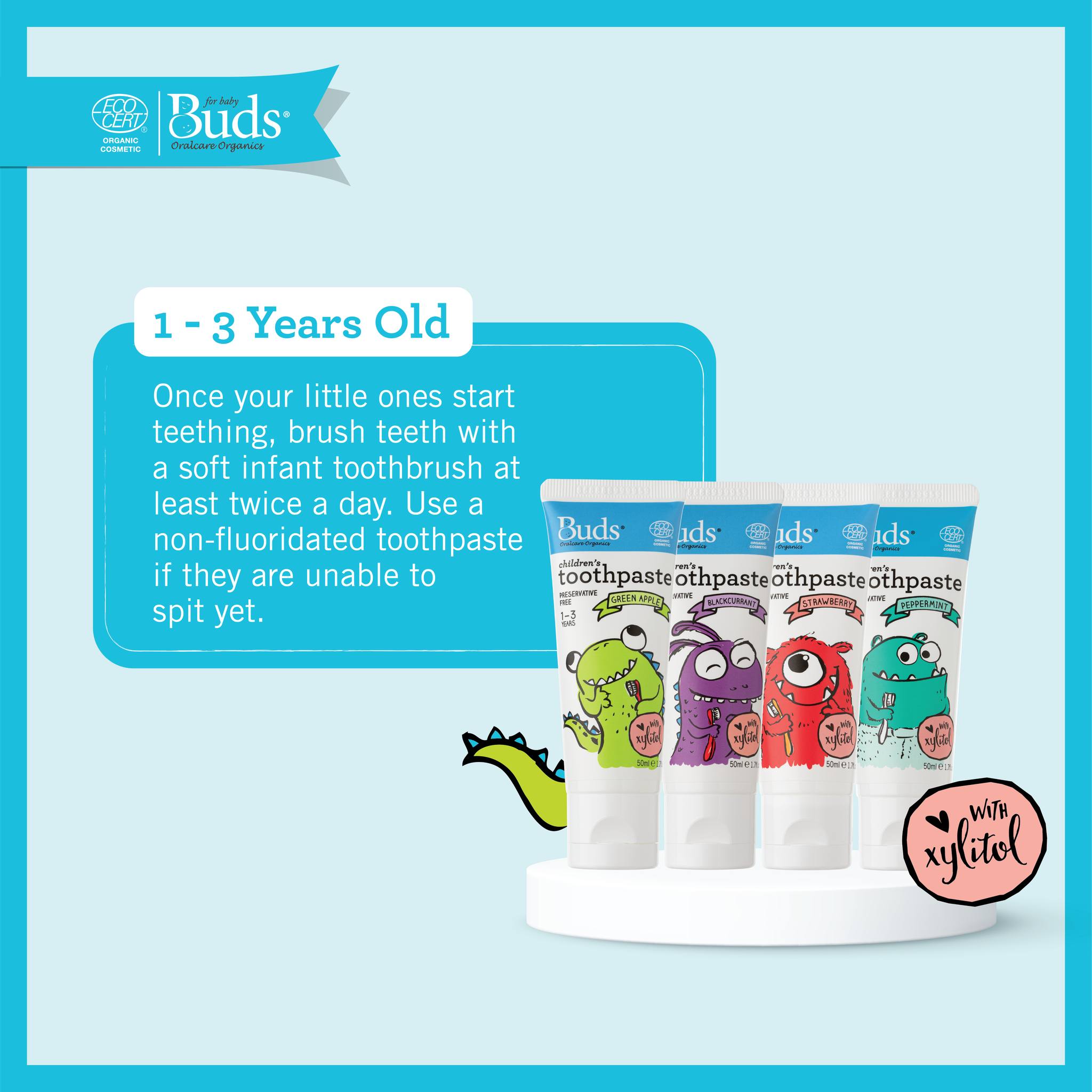 Buds Oral Care Organics Oral Gel with Xylitol / Children's Toothpaste ...