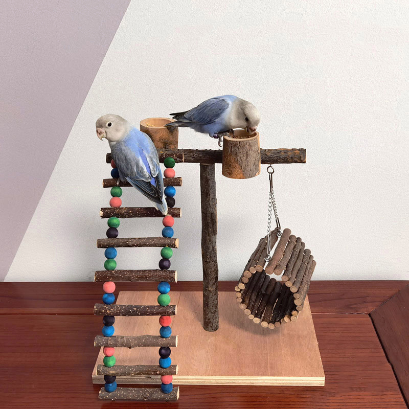 Bird Swing Toys 8 Pieces Parrot Chewing Natural Wood Rope Bungee Bird ...