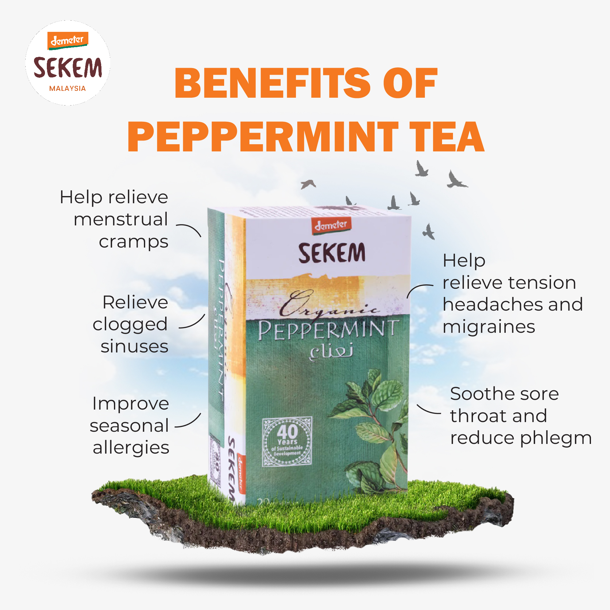 SEKEM DEMETER PEPPERMINT TEA / [20 FILTER BAGS/BOX] | Shopee Malaysia