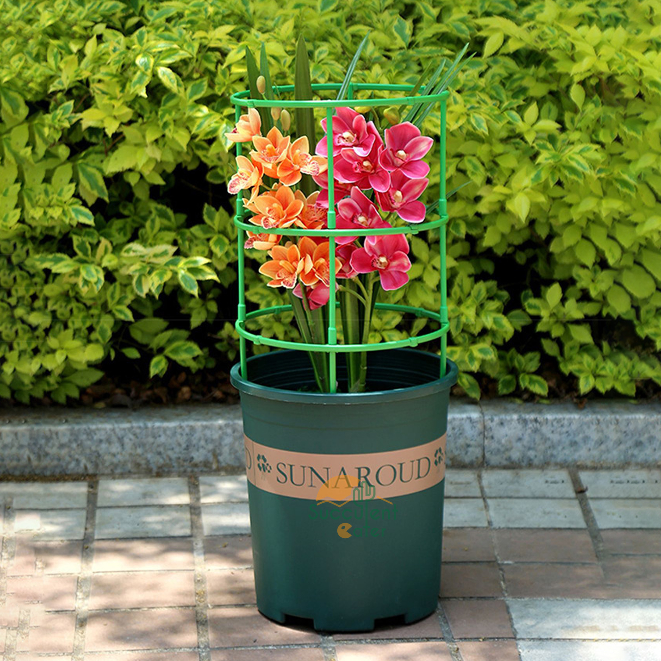 Stackable Plant Support Ring Rack Bracket Braket Panjat Tanaman Pokok ...