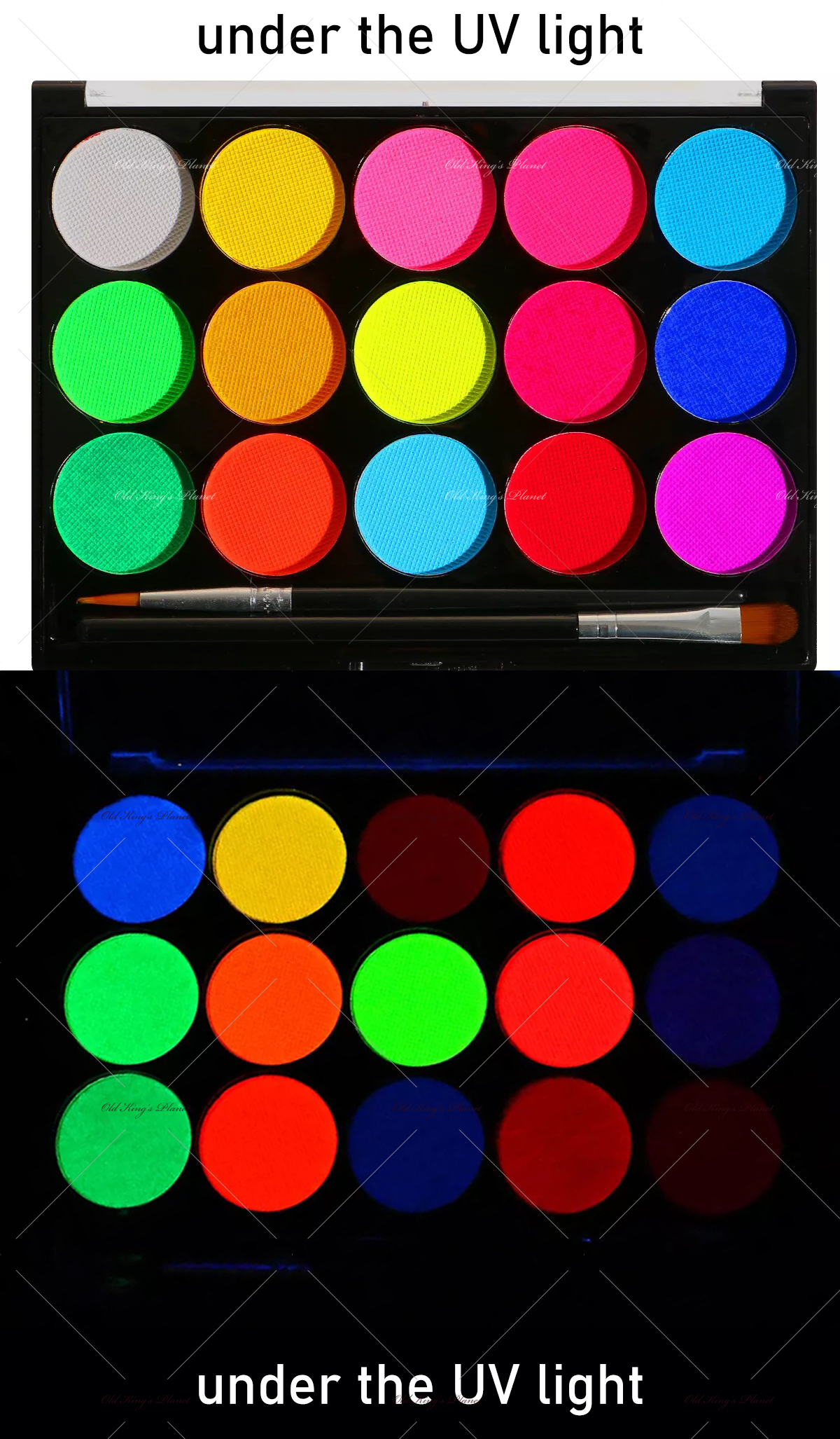 Fluorescent Face Paint 12 Color Halloween 12色 荧光 人体彩绘 油彩 Body Art Oil ...