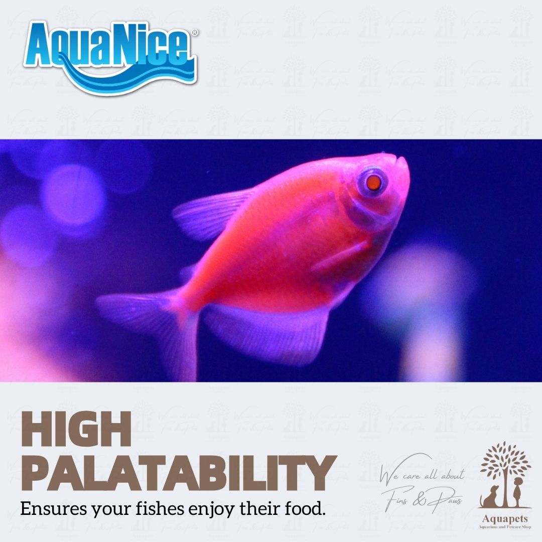 Aquanice Super Glofish Food - 40g / Tetra glofish food / Small fish ...