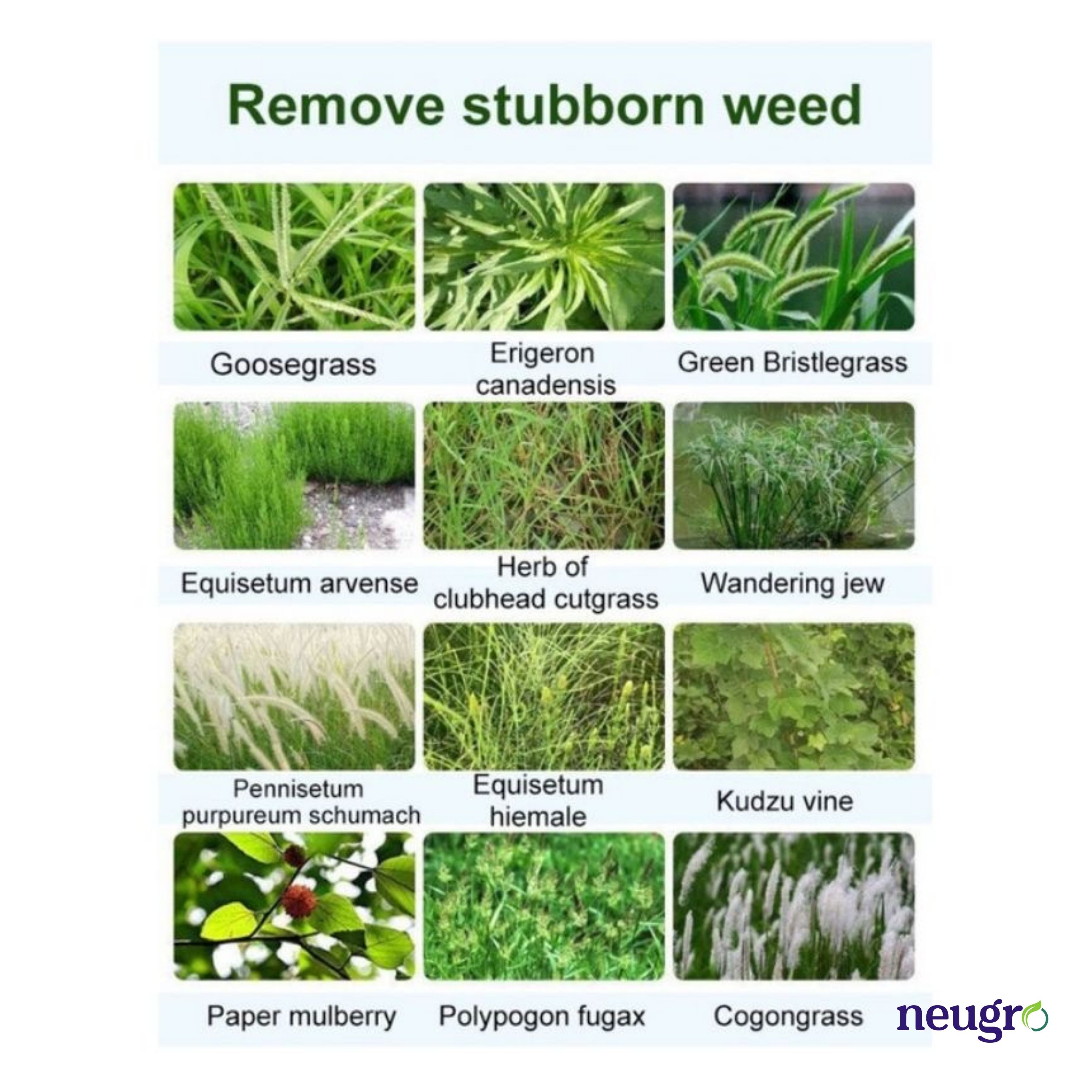 Racun Rumput Mati Akar Racun Rumpai Weed Killer/Racun Rumput Berkesan ...