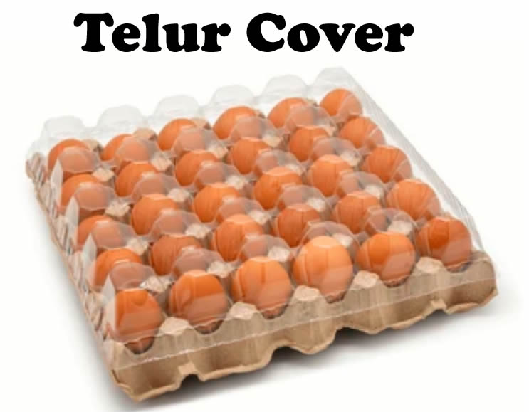 30's Egg Tray Cover | 30's Penutup Papan Telur 100pcs | Egg Packaging ...