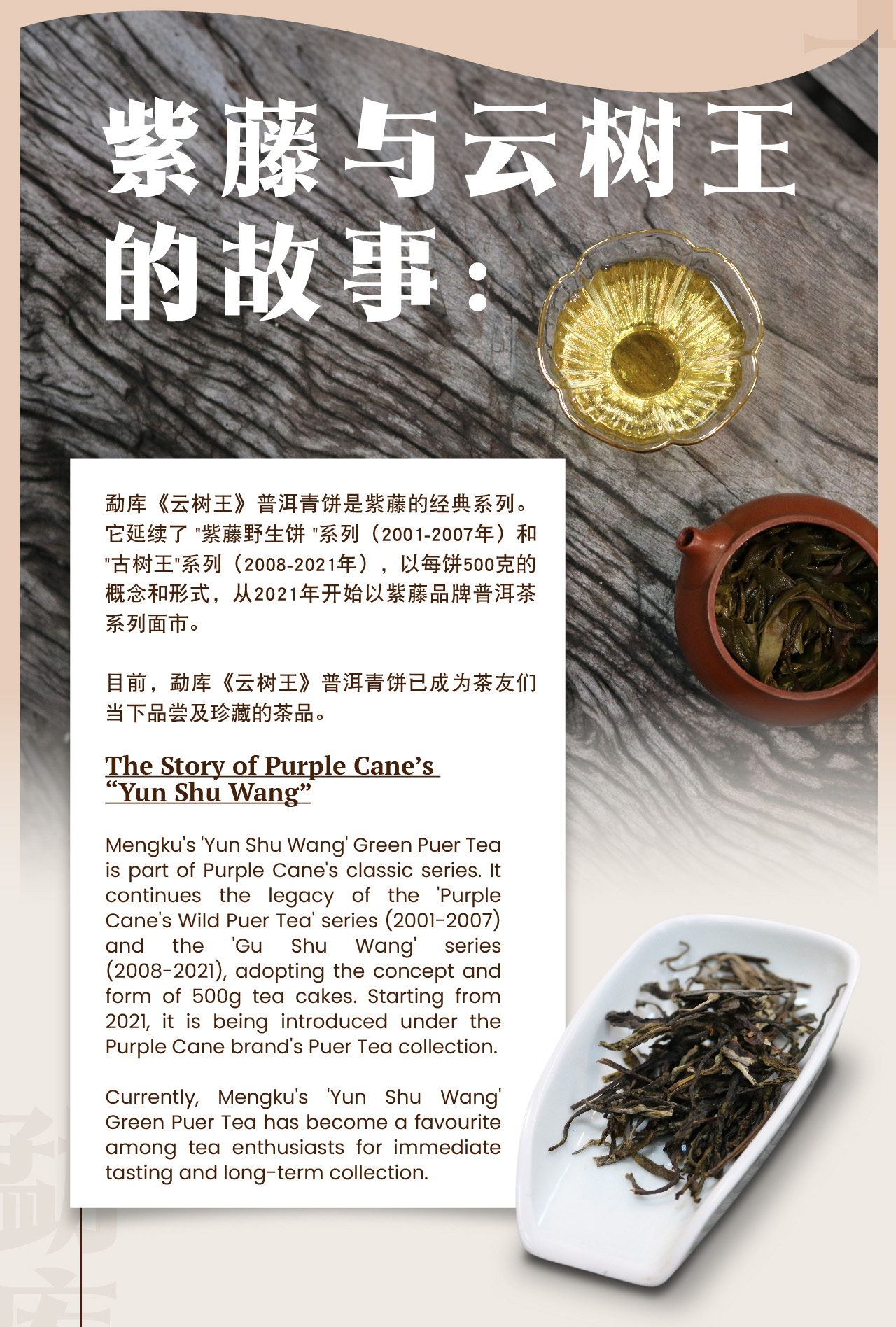 Purple Cane Yun Shu Wang Green Puer Tea Year 2023 Mengku 紫藤 云树王 普洱青饼 2023年 勐库 (±500g) | Shopee ...