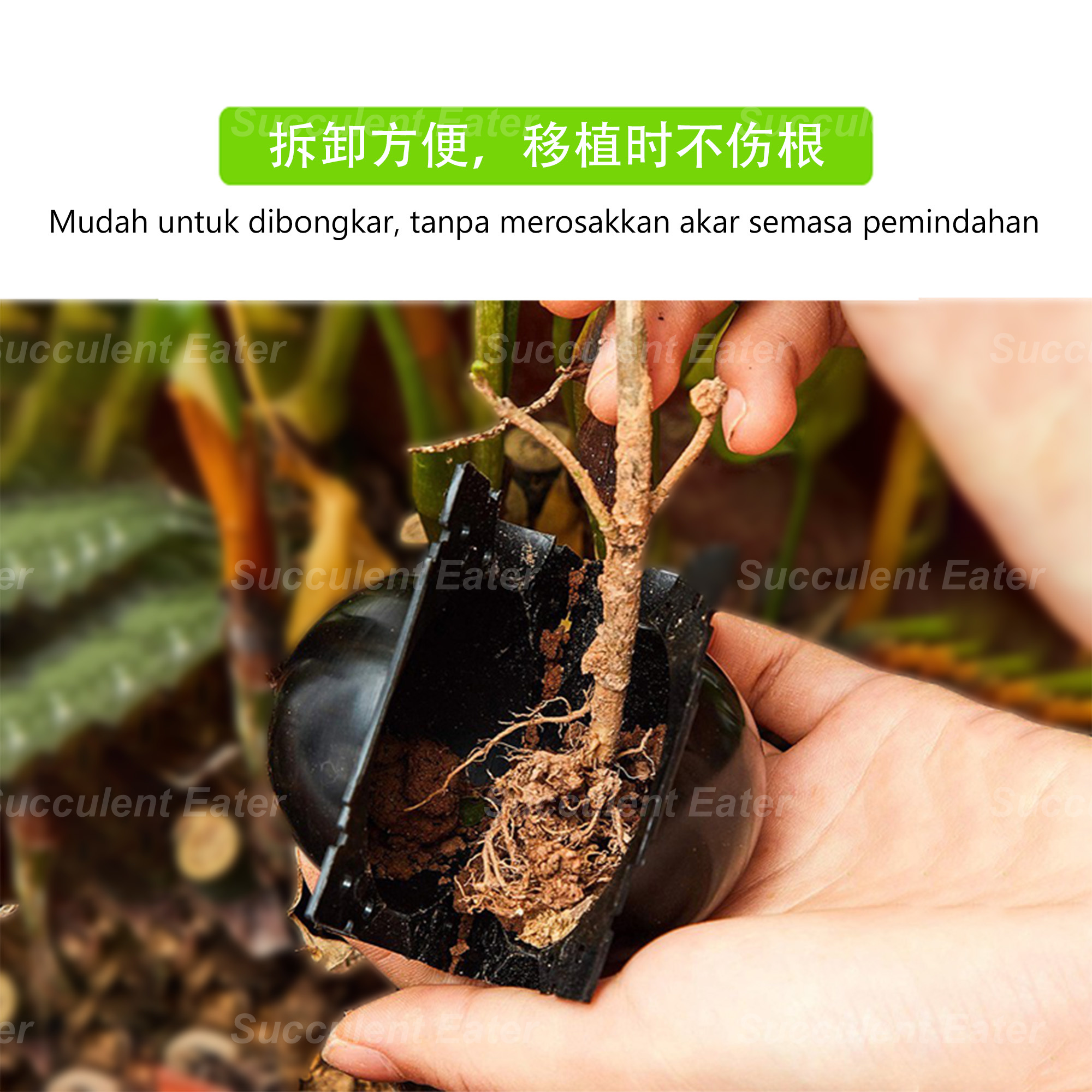 Plant Rooting Ball Air Layering High Pressure Propagating Device ...