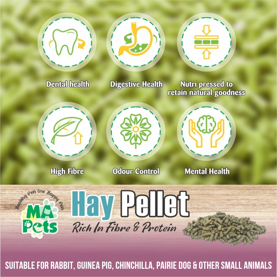 Bengy COA Rabbit Feeds MA Pets Rabbit food Pellet Hamster Gerbil Muesli ...