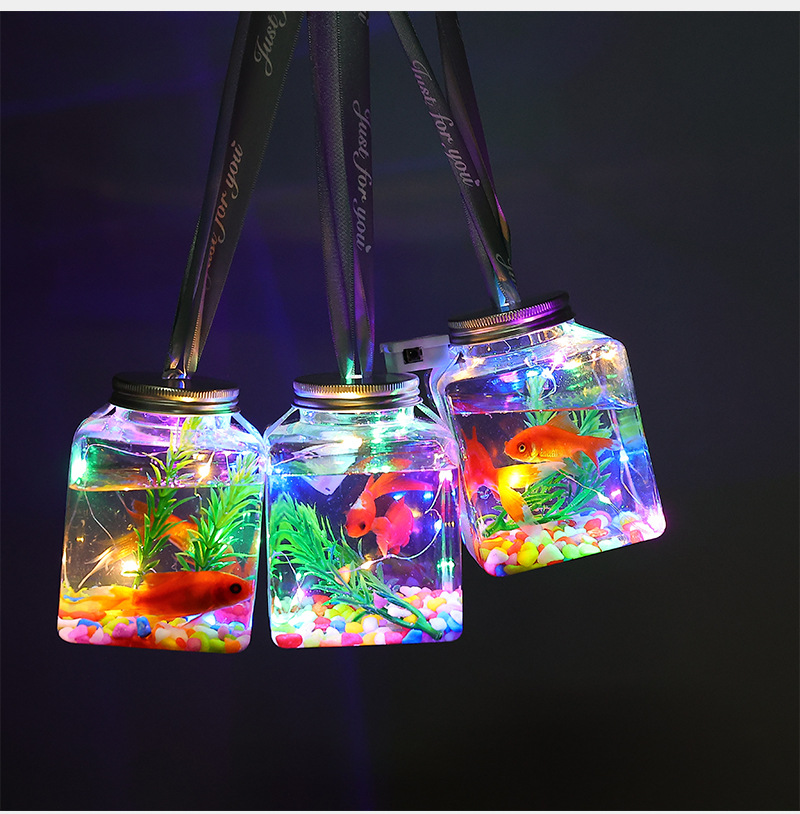 Mini Aquarium lantern Fish Light Tank moonlight Fish Aquarium Fish ...