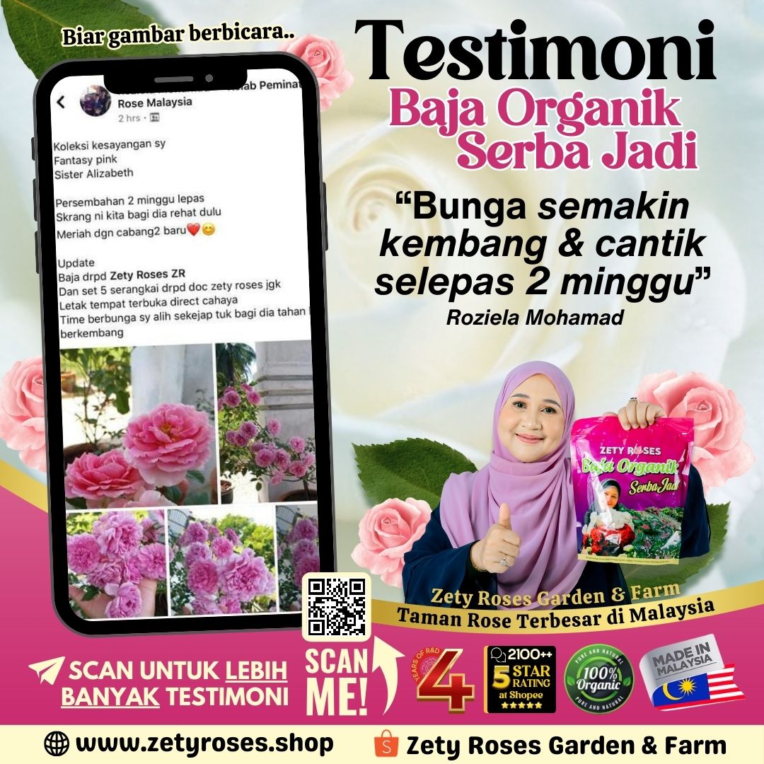 Zety Roses Set 5 Serangkai Perlindungan Komprehensif Penyakit Pokok ...