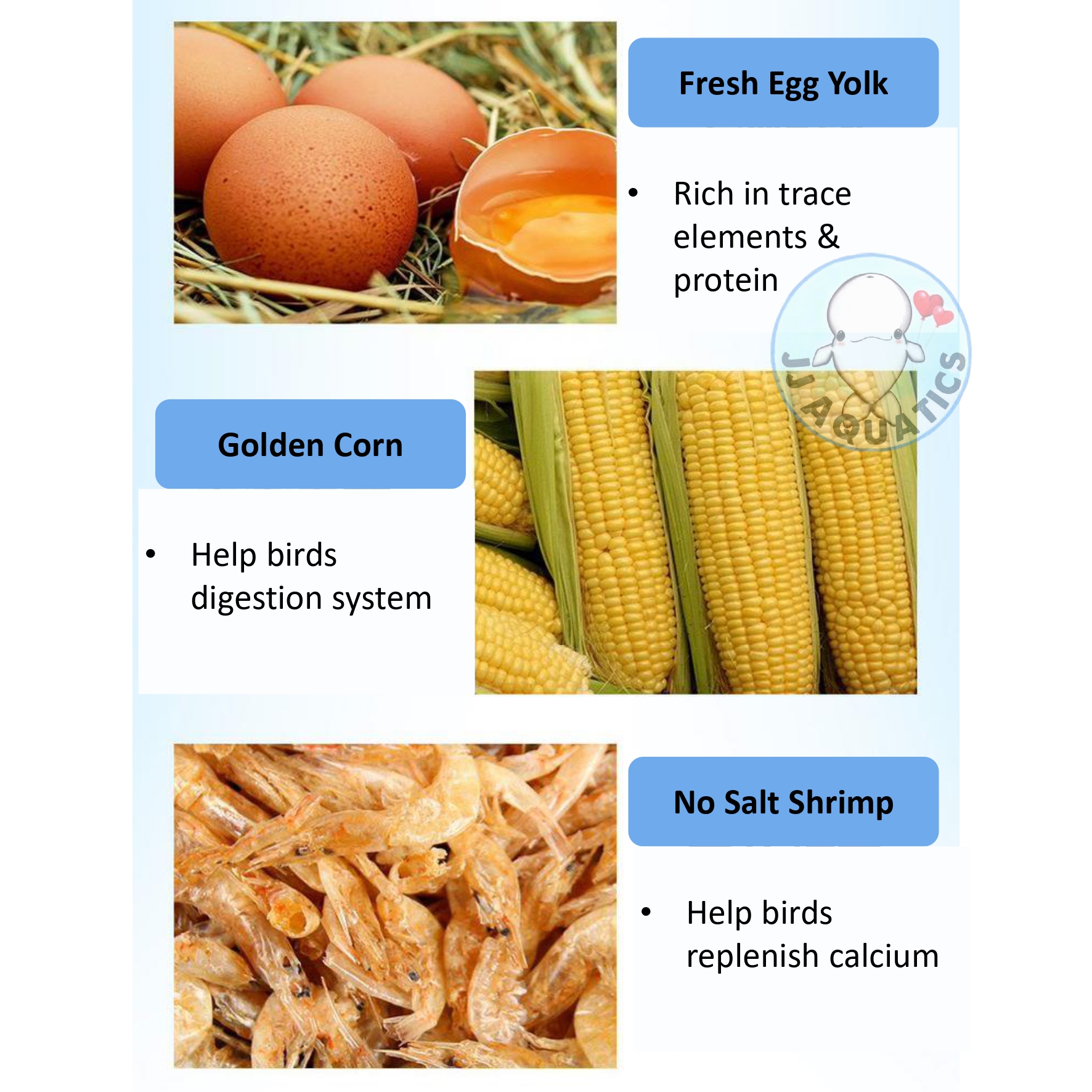 🔥Ready Stock🔥Jonsanty Luxury Premium Bird Food Common Hill Myna Crested ...