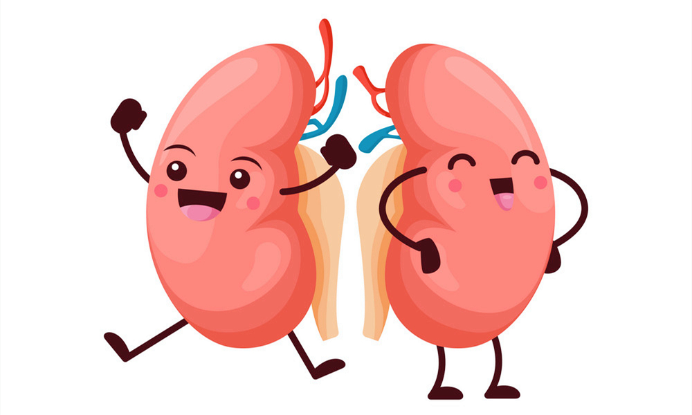 Raspberry Fruit Tea（Raspberi）：Tonify Kidney 覆盆莓茶（覆盆子）：益肾固精 | Shopee ...