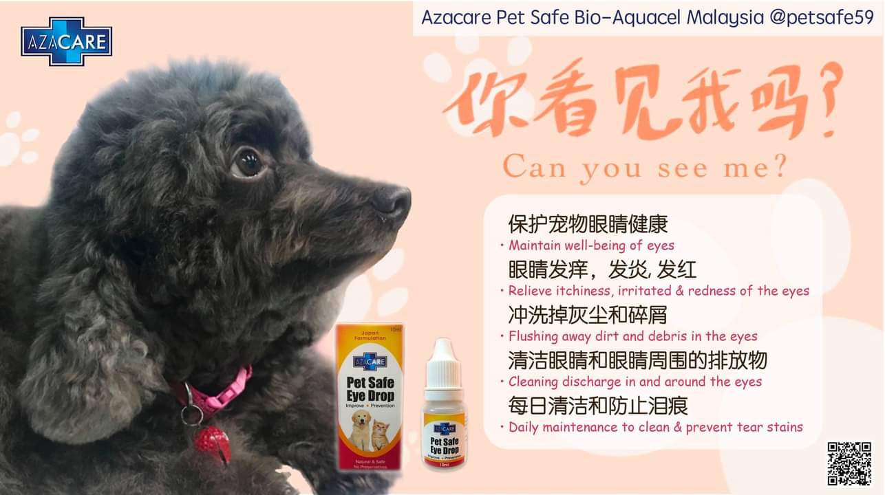 ORIGINAL AZA CARE AZACARE Pet Safe Bio-Aquacel Eye Drop For Cats & Dogs ...